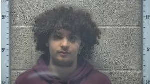 Busted Newspaper Henderson County KY Mugshots